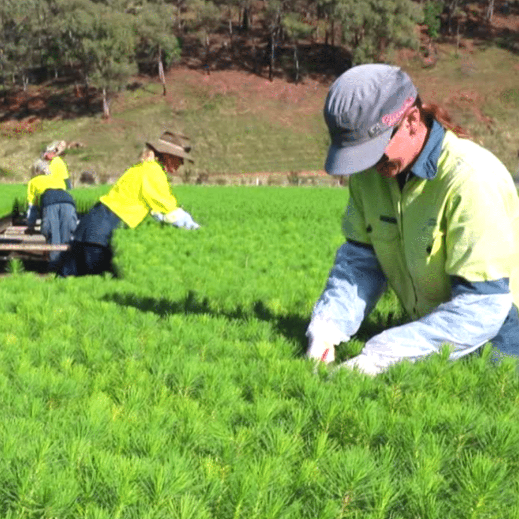 Ross Hampton off to London: key post as global voice for AFPA | Wood ...