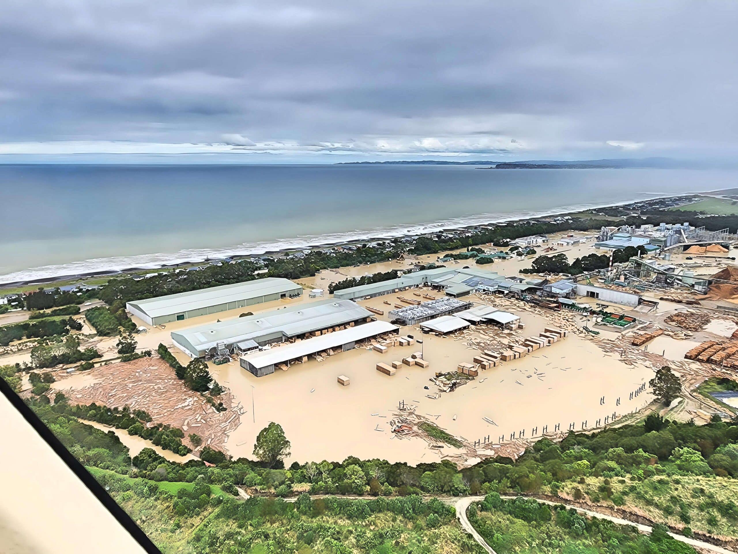 NZ's Largest Firm Hit by Gabrielle, Pan Pac, Reopens Chipmill | Wood ...