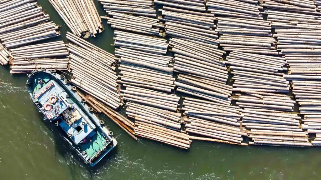 Russia Poised to Regain All Major Timber Markets After Ukraine War ...
