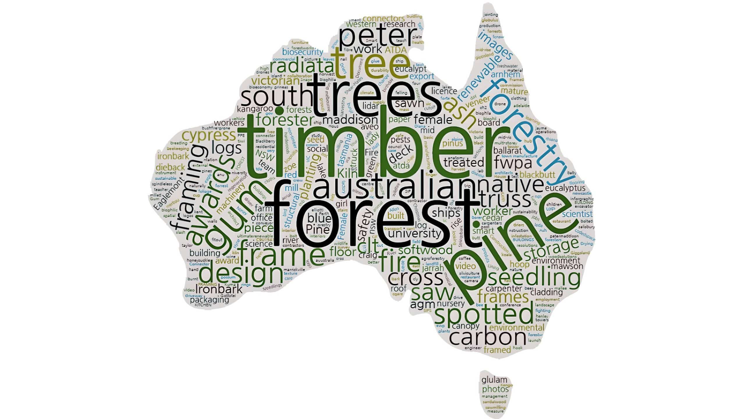 Inside the FWPA's New and Improved Data Dashboard! | Wood Central