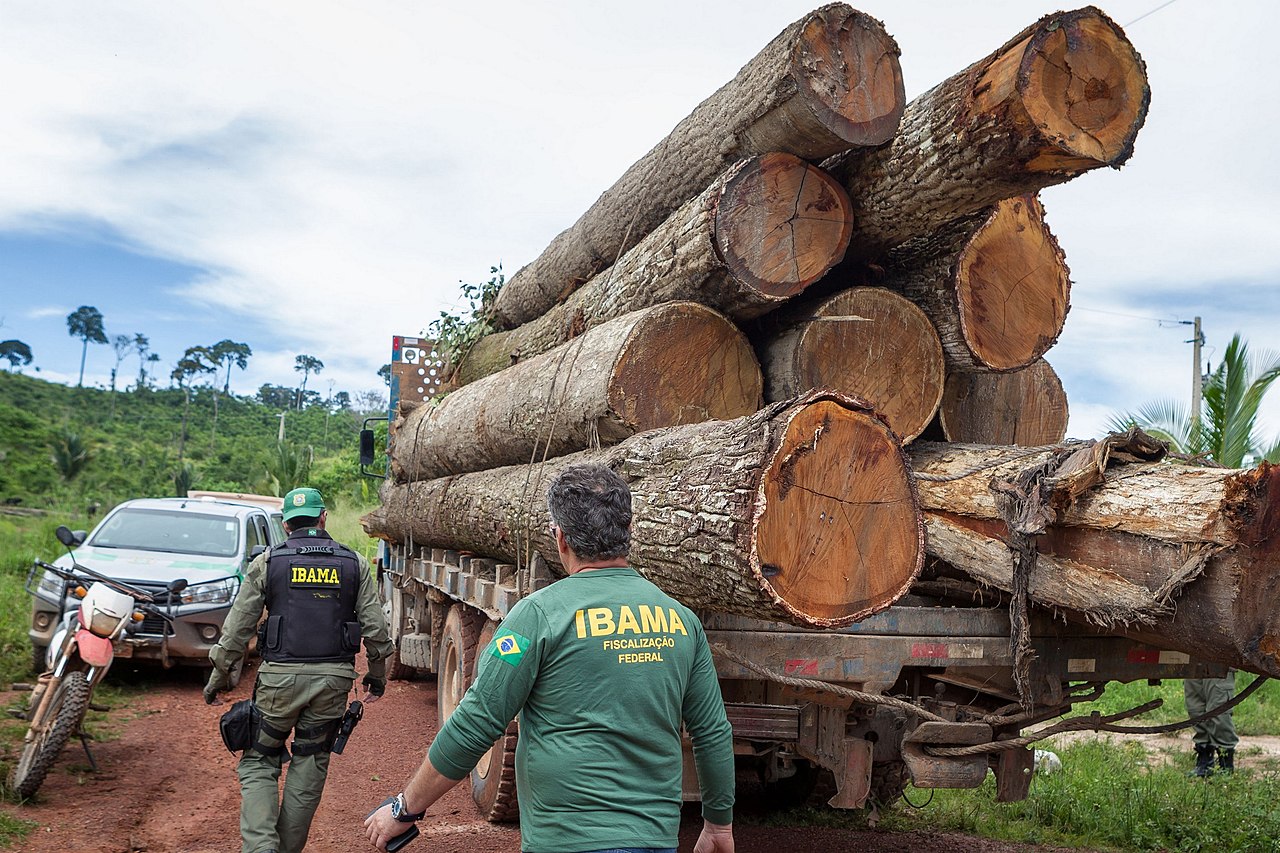 EIA Expands Crime Tracker in Response to Surge in Timber Crime | Wood ...