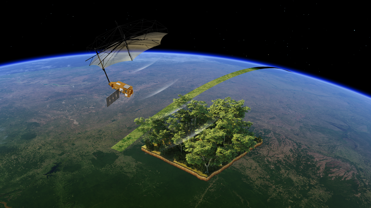 Tiny Clearings, Not Major Deforestation, Drive Tropical Carbon Loss ...