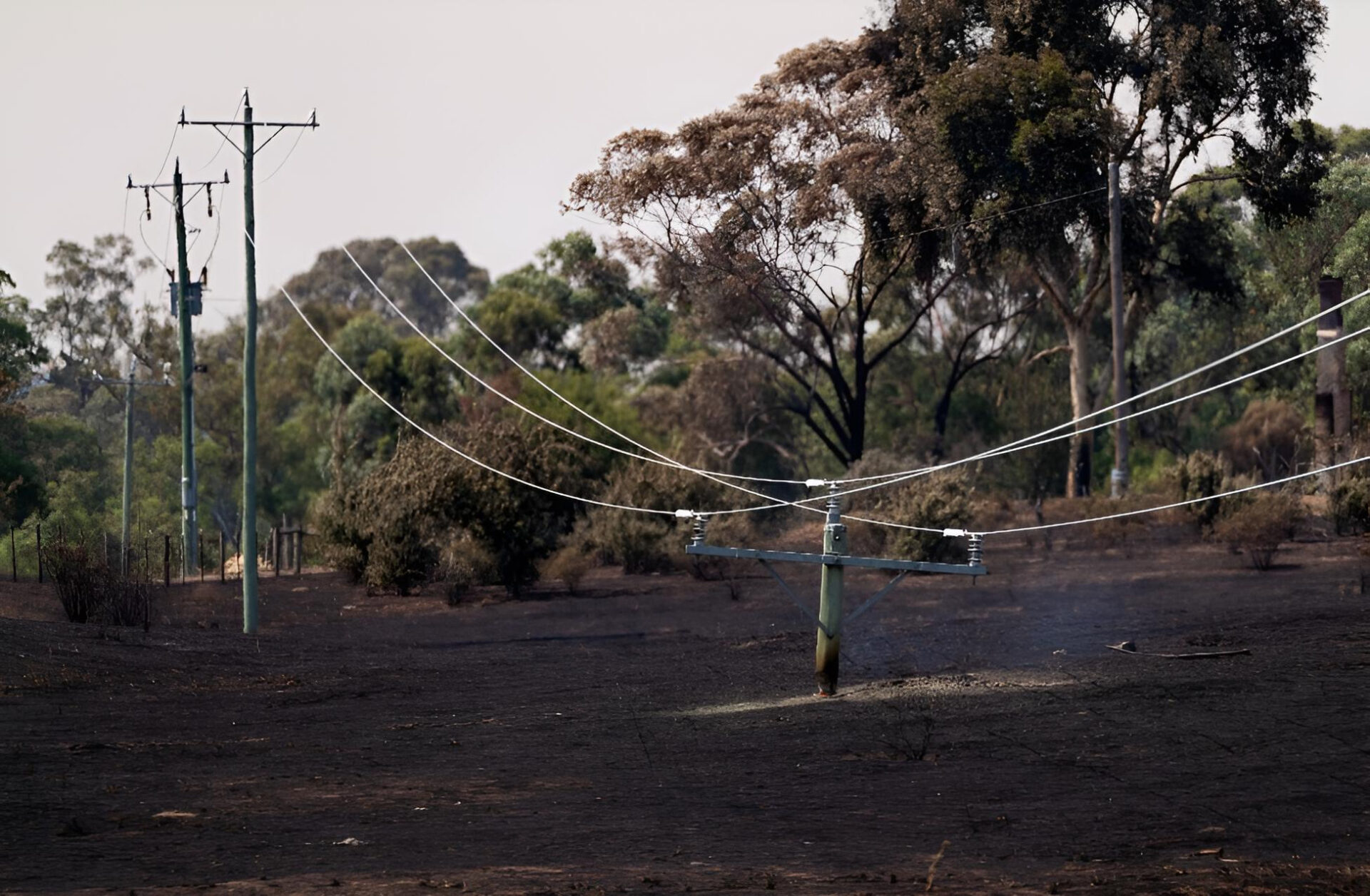 Lightning Sparks Fires in National Parks as Victoria’s Crisis Deepens ...