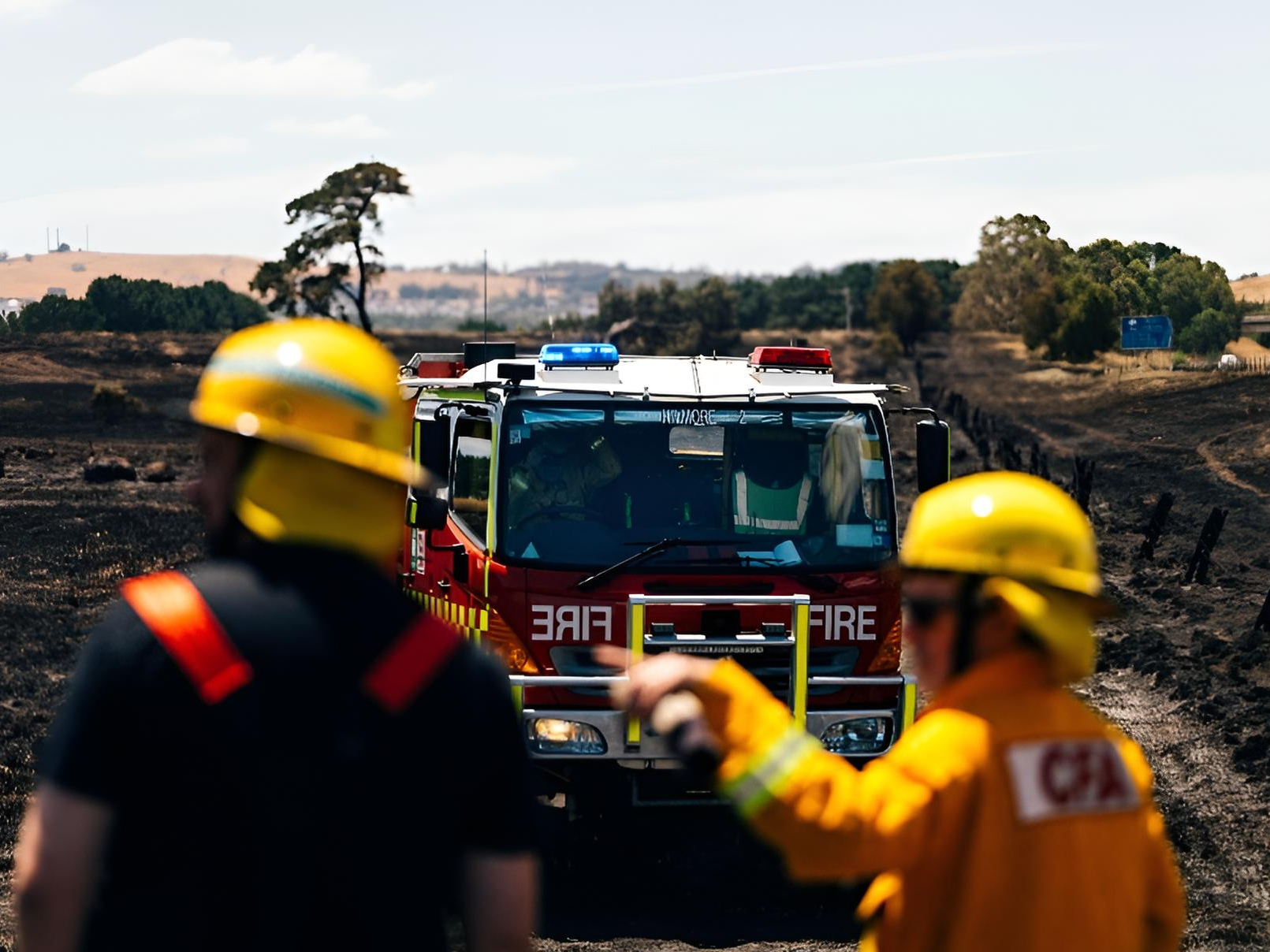 Victoria’s Bushfires Rip Through Timber Plantations as Losses Mount ...