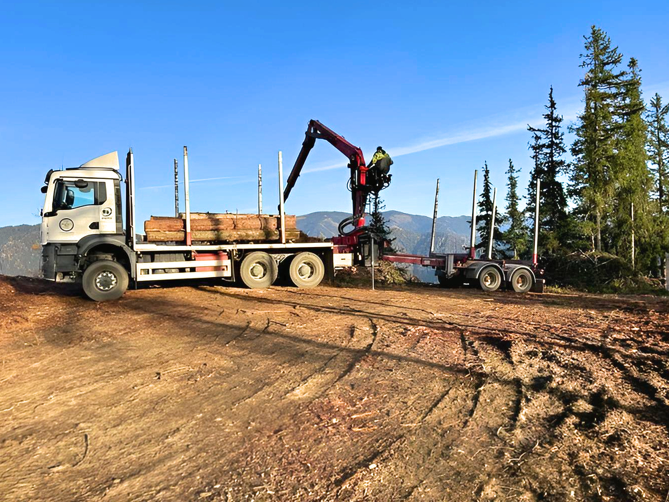 Forestry Can Be Fully Automated: These Austrian Engineers Will Prove It ...