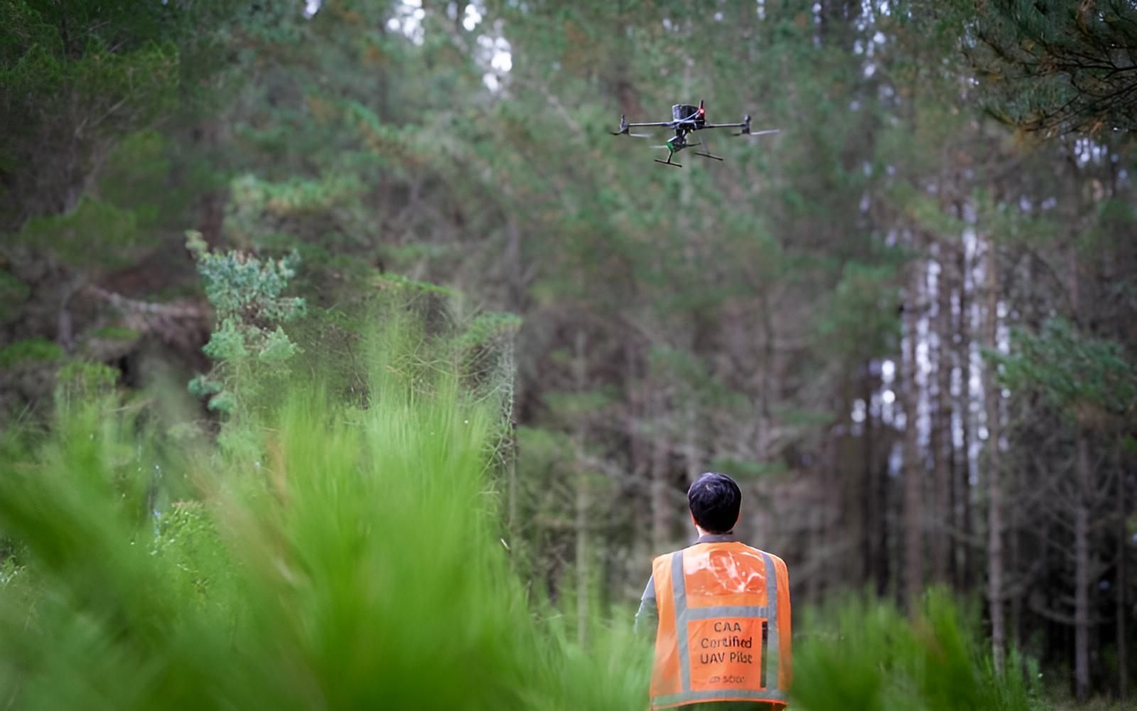 Drones Take Flight as ‘Flying Robots’ Modernise New Zealand Forestry ...