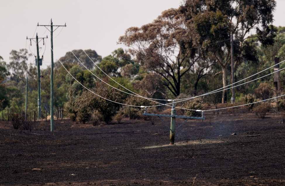 ‘Good Fire’ Must Return: Victoria’s Timber Towns Call for Coordinated ...