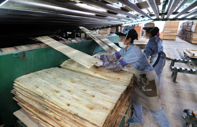 China’s Plywood Exports Smash Records as Traders Move Past the U.S ...