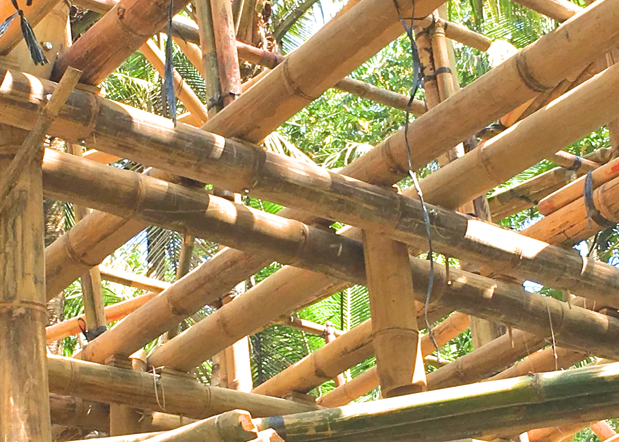 Asper Bamboo Can Outperform LVL on Carbon in Aussie Conditions | Wood ...