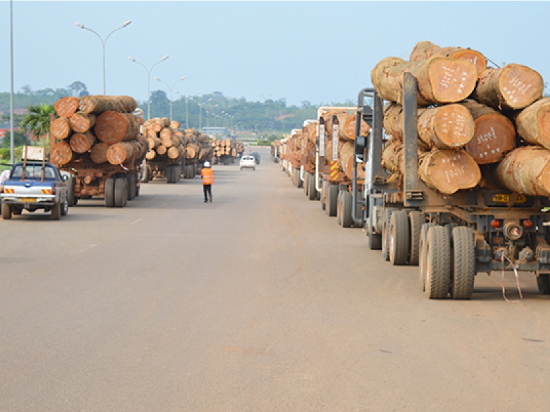 Gabon Sets Up New Data Centre to Track Timber From Stump to Port | Wood ...