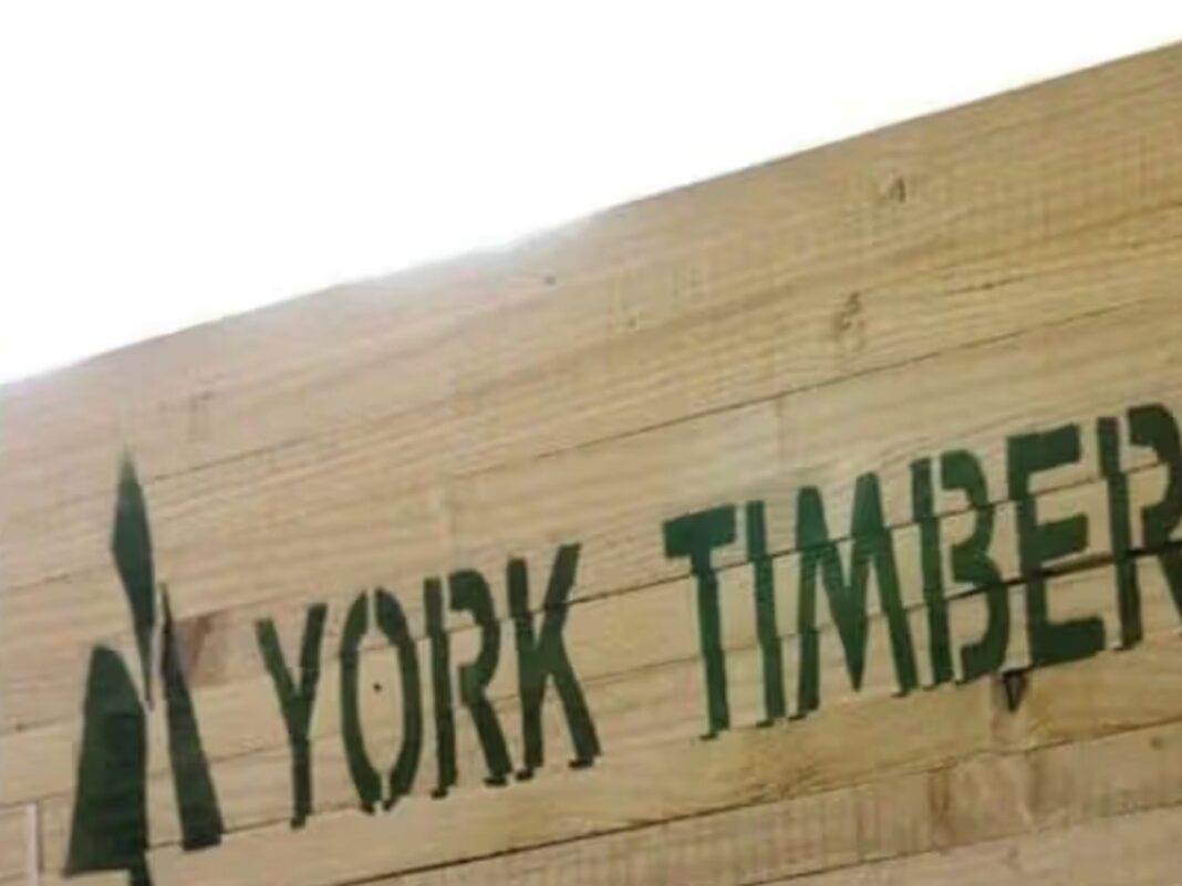 Gabriël Stoltz Exits York Timber After Four Eventful Years as CEO ...