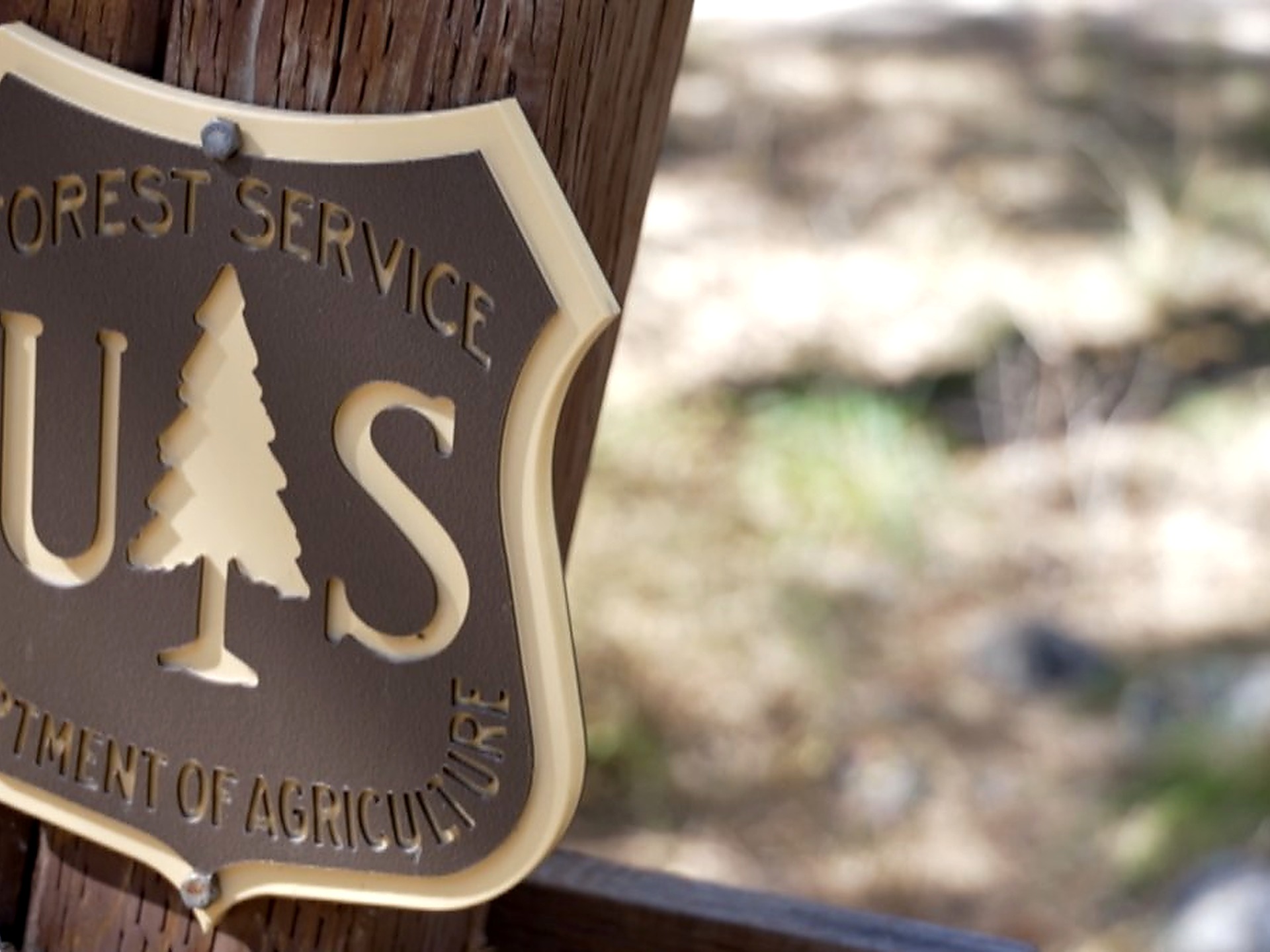 Forest Service Quits D.C. for Salt Lake City — Biggest Shake-Up in 121 ...