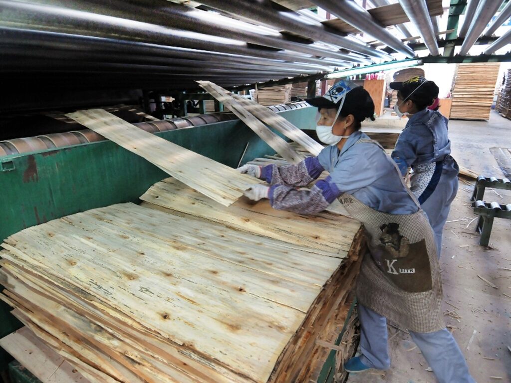 42 Million Work in Forestry Jobs — Just One-in-Four are Women | Wood ...