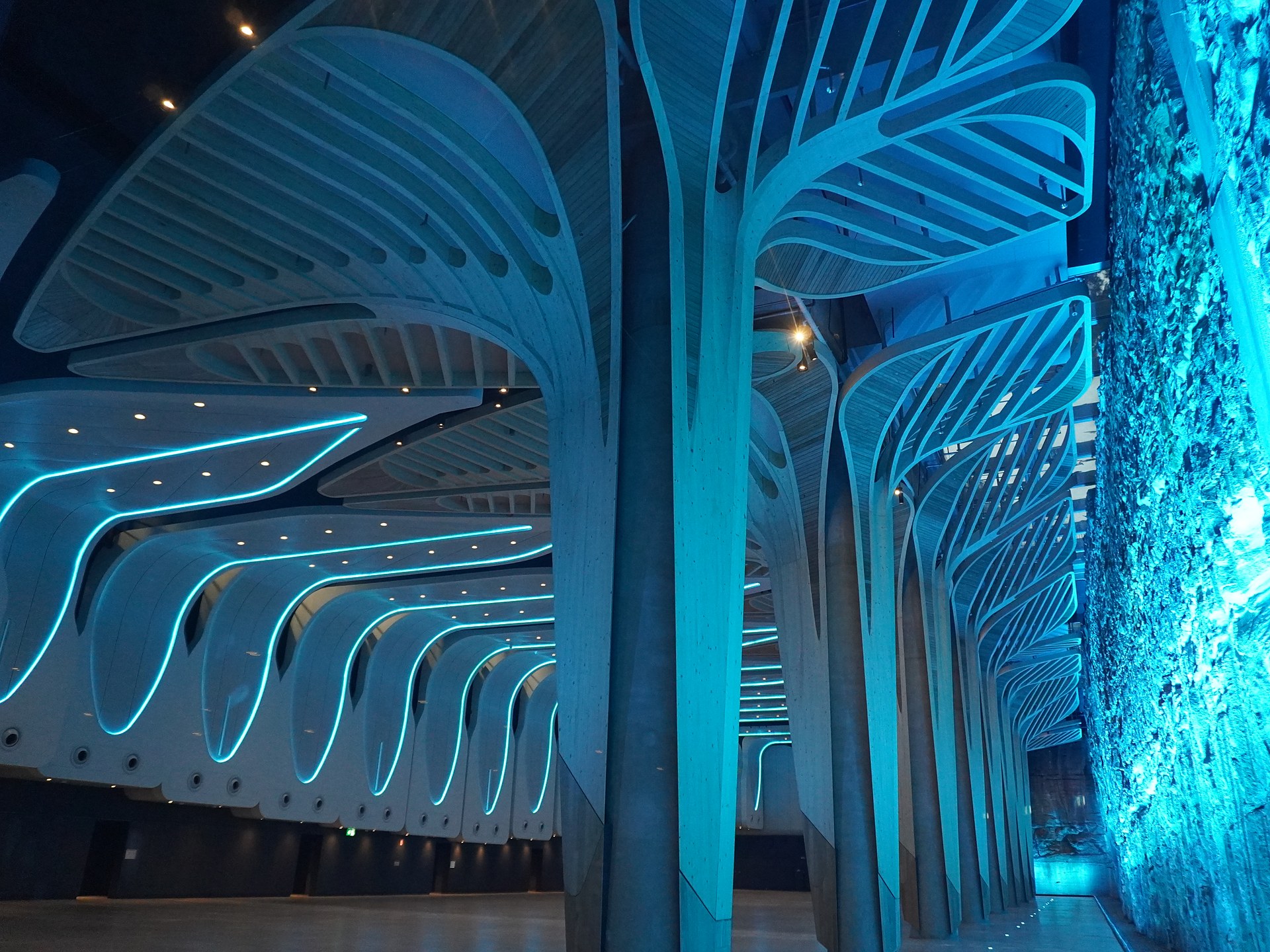 13 Timber Trees Finally Anchor Sydney's Cutaway | Wood Central
