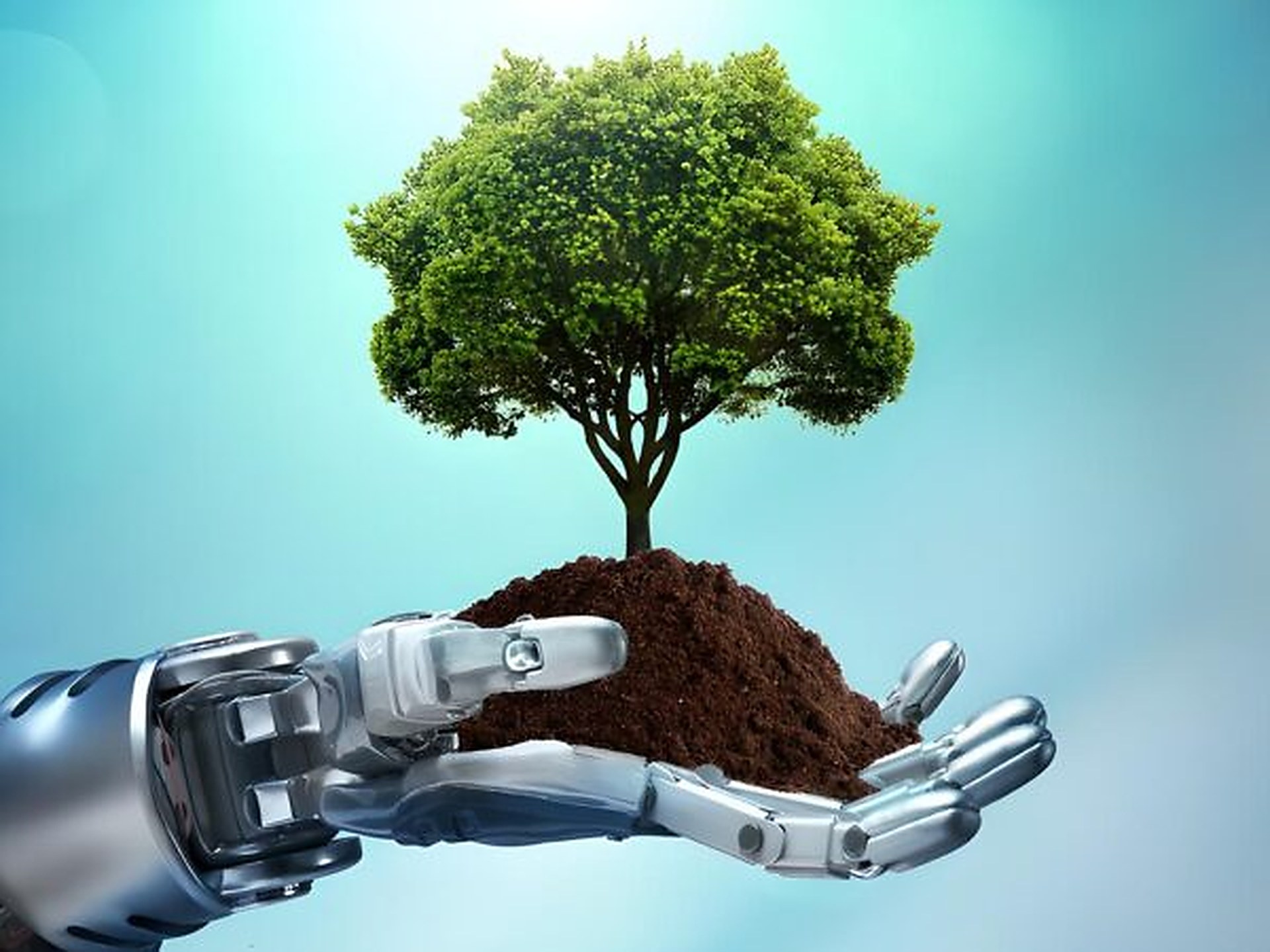 TPAA Puts AI on the Plant Floor at 2026 Brisbane Forum | Wood Central