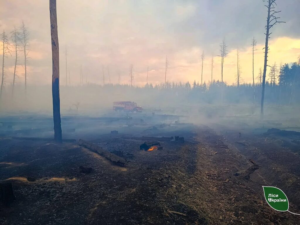 War Destroys 165,000 Hectares of Ukraine's Forests | Wood Central
