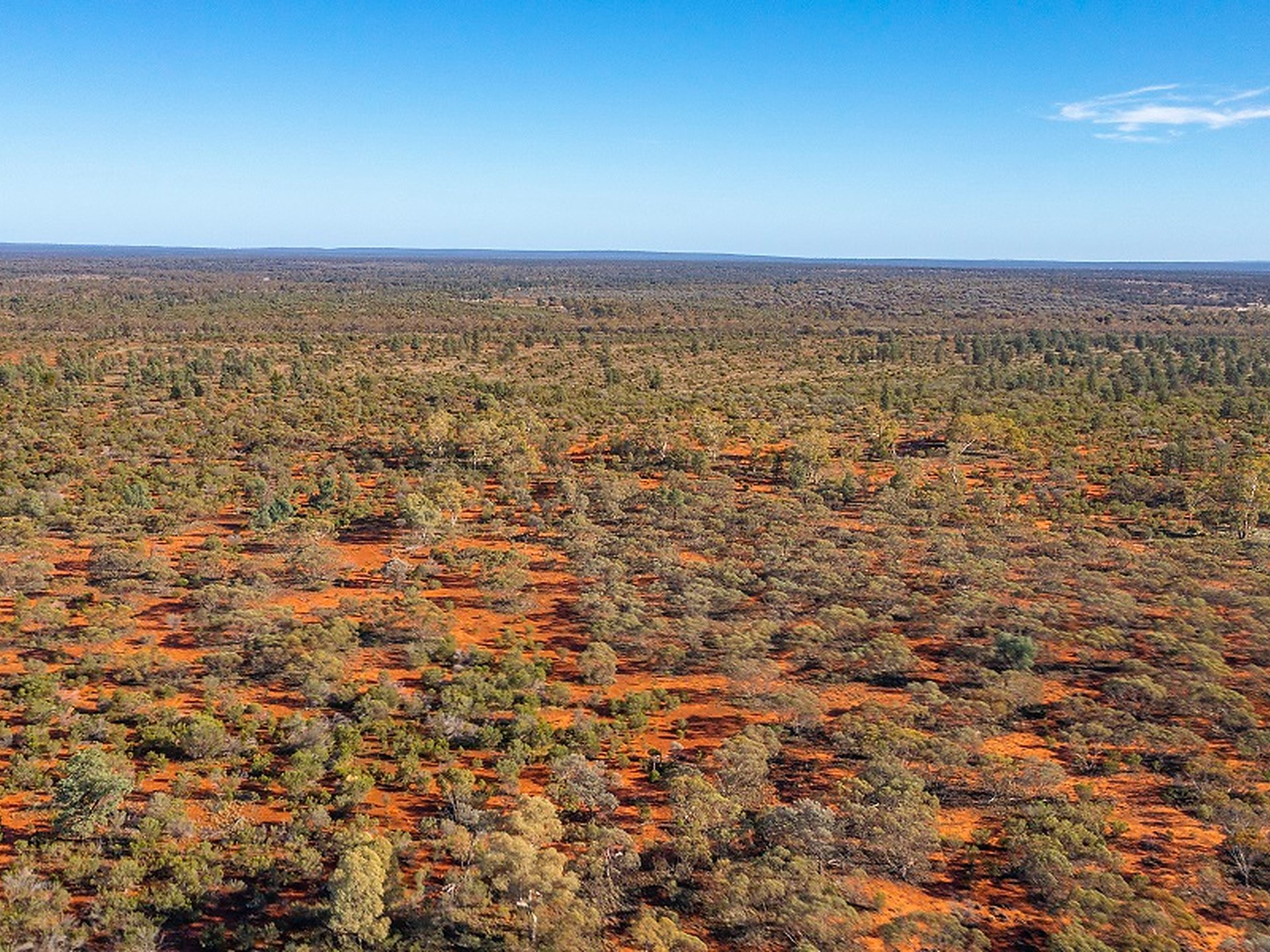 Carbon Farming Works: Forests Regrow on 94% of Land | Wood Central