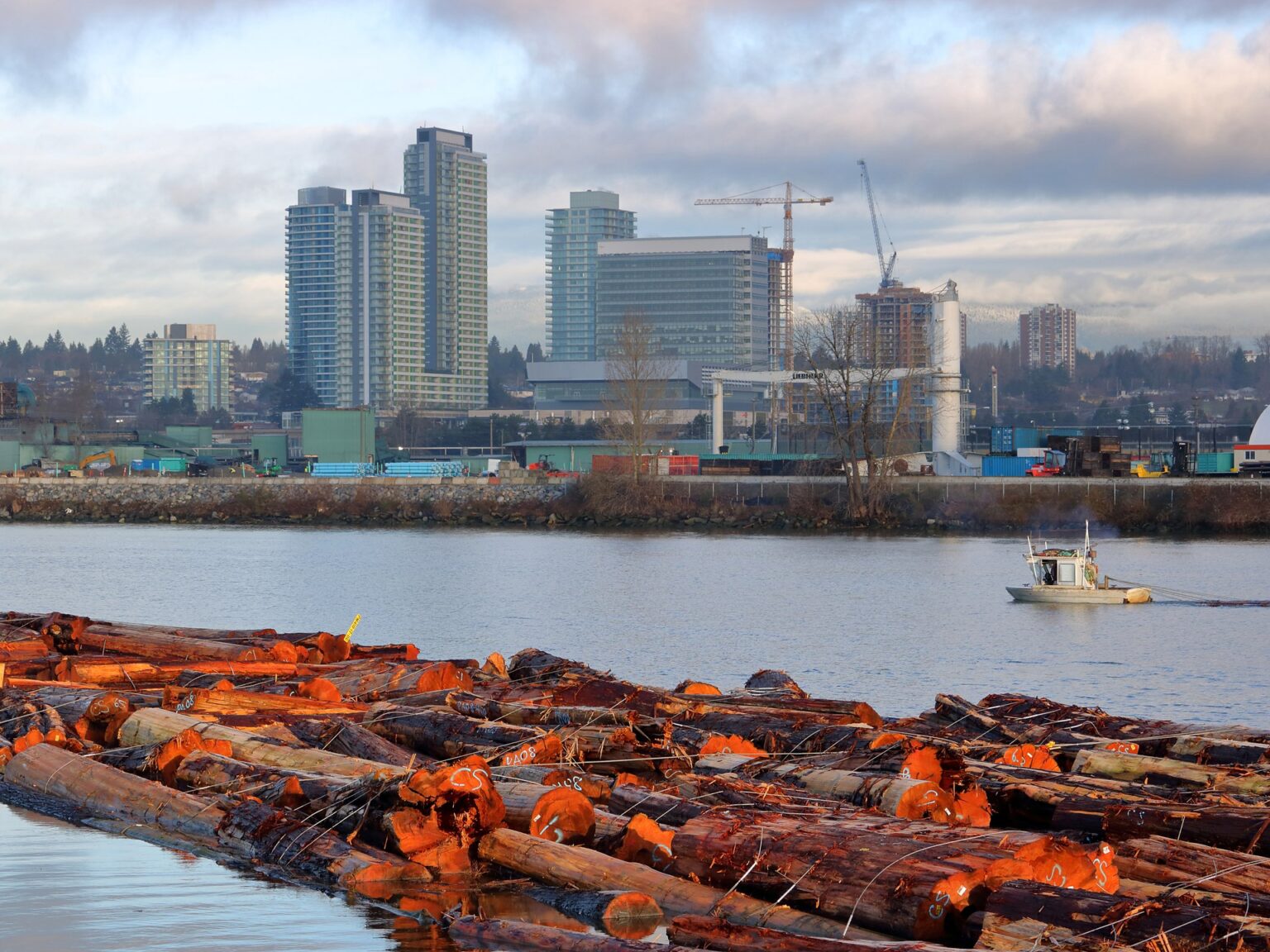 Canada's Forest Sector Action Plan Confronts Tariffs | Wood Central