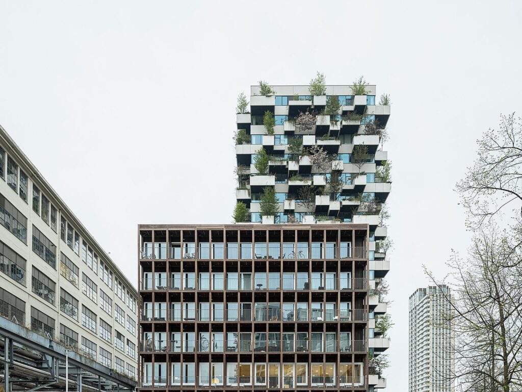 Dutch Timber Matchbox Stores More Carbon Than It Emits | Wood Central