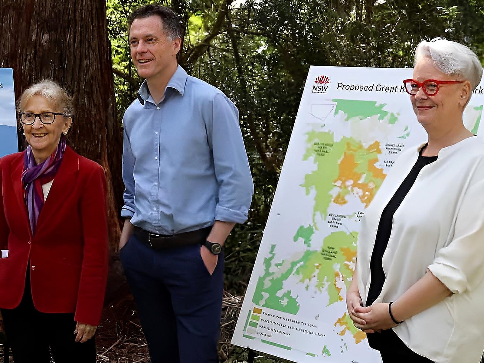 Great Koala Park Not Backed by Science, Scientist Tells ABC | Wood Central