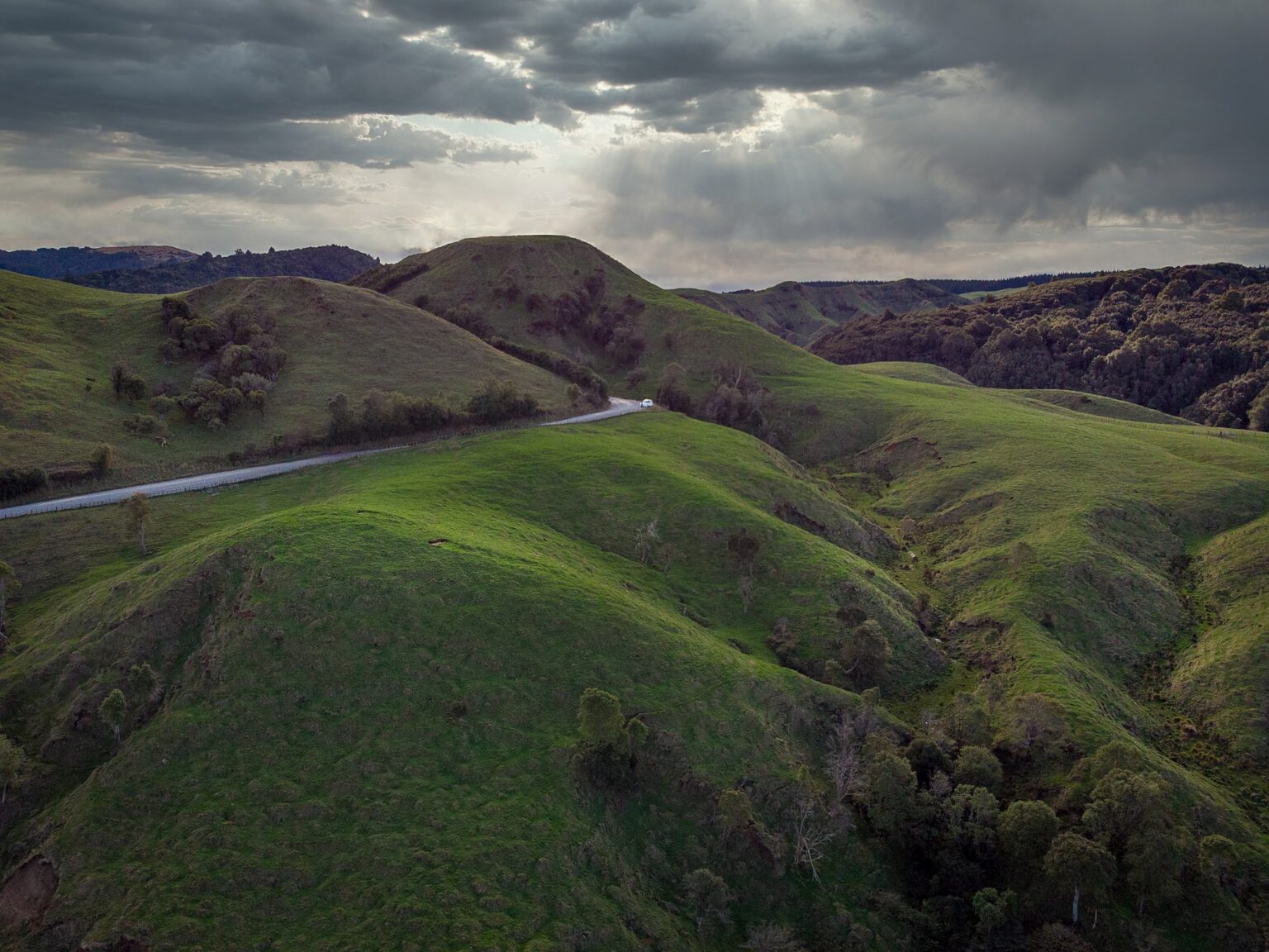 Hawke's Bay Forestry Conversion Claims Fourth Farm | Wood Central
