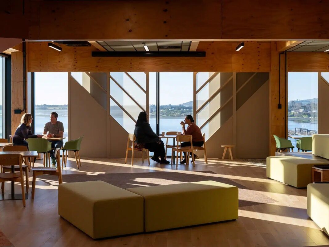 Tauranga's Mass Timber Tower Wins NZ's Supreme Award | Wood Central
