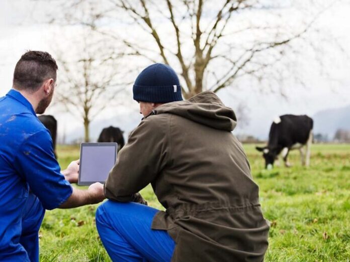 New Zealand Forest Mapping Tool Tracks Trees by Species | Wood Central
