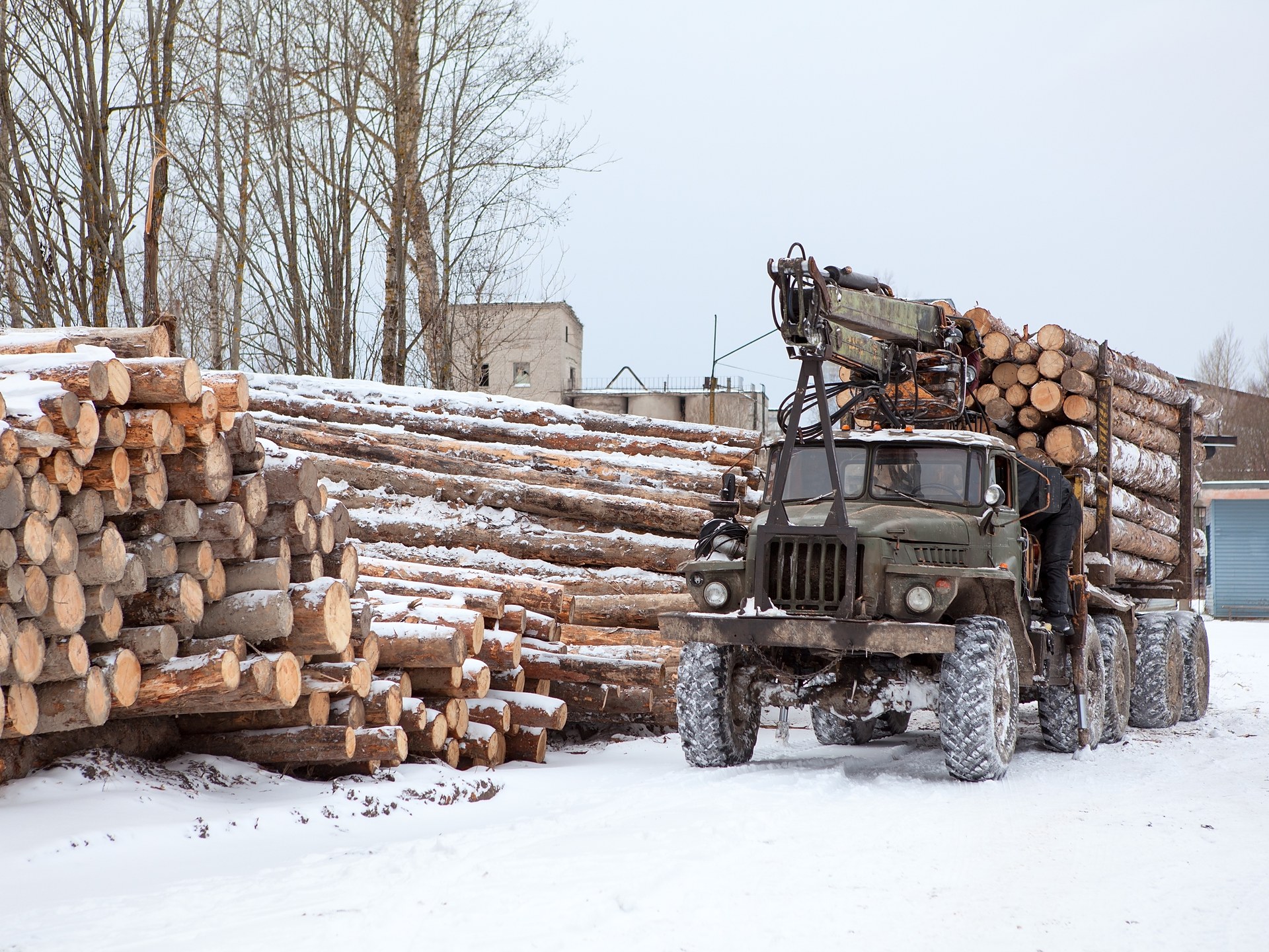 Minister Warns Russia Lumber Output Could Fall 30% | Wood Central