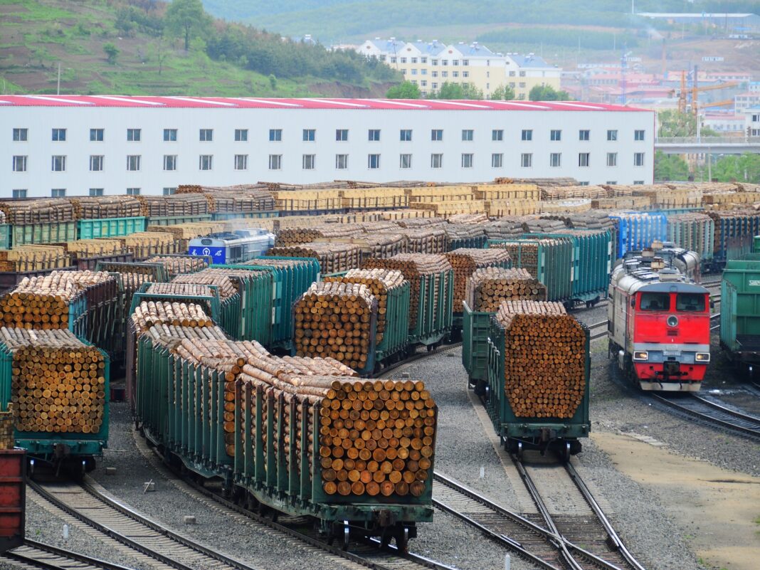DNA Test Could Catch Russian Timber Dodging Sanctions | Wood Central