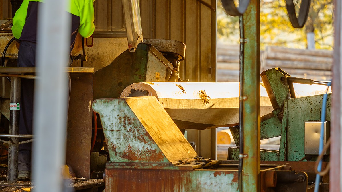 Native Forest Carbon Method Covers for Coal Says the Left | Wood Central